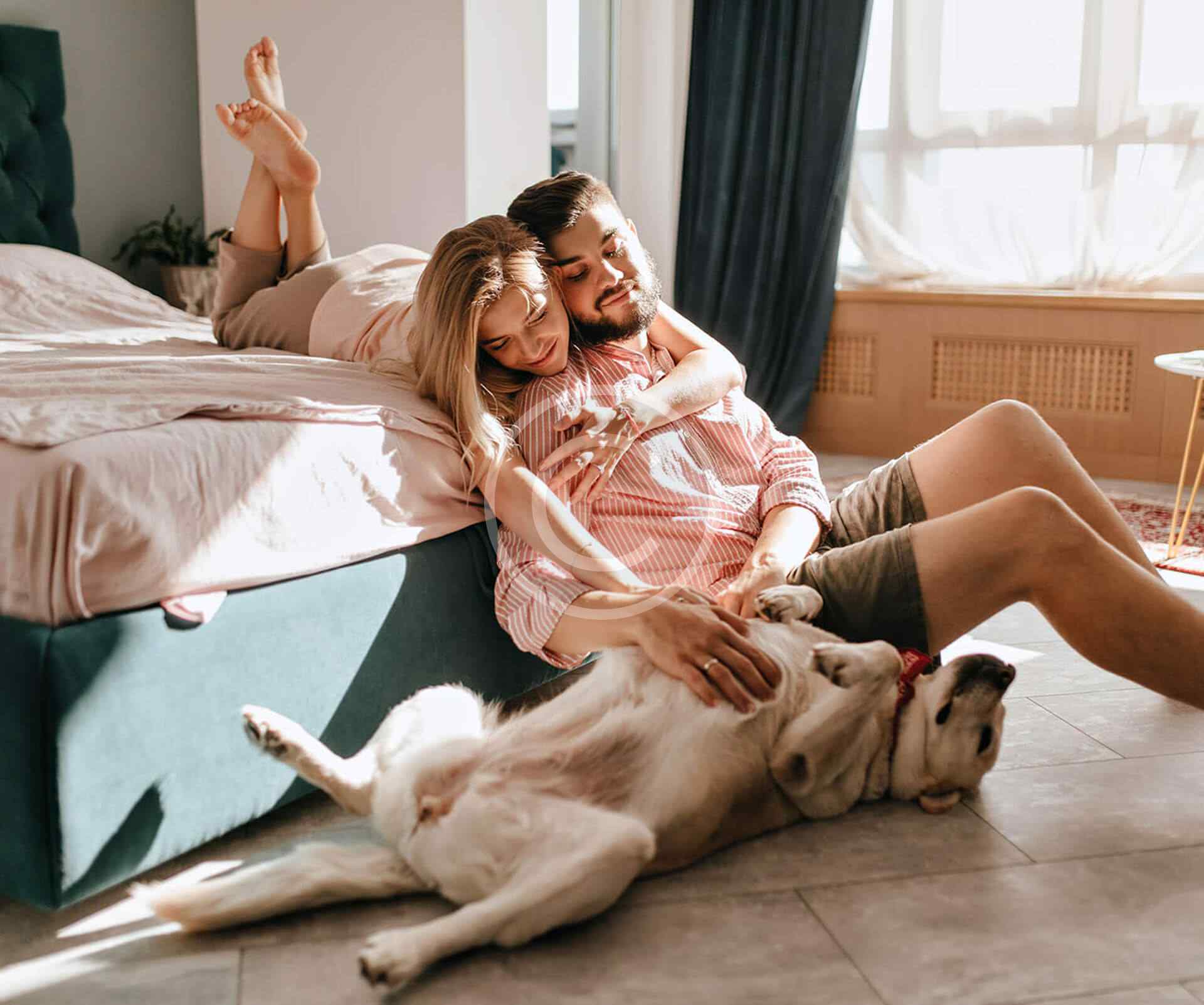 Using animals hierarchy in today’s human society – Pet Grooming